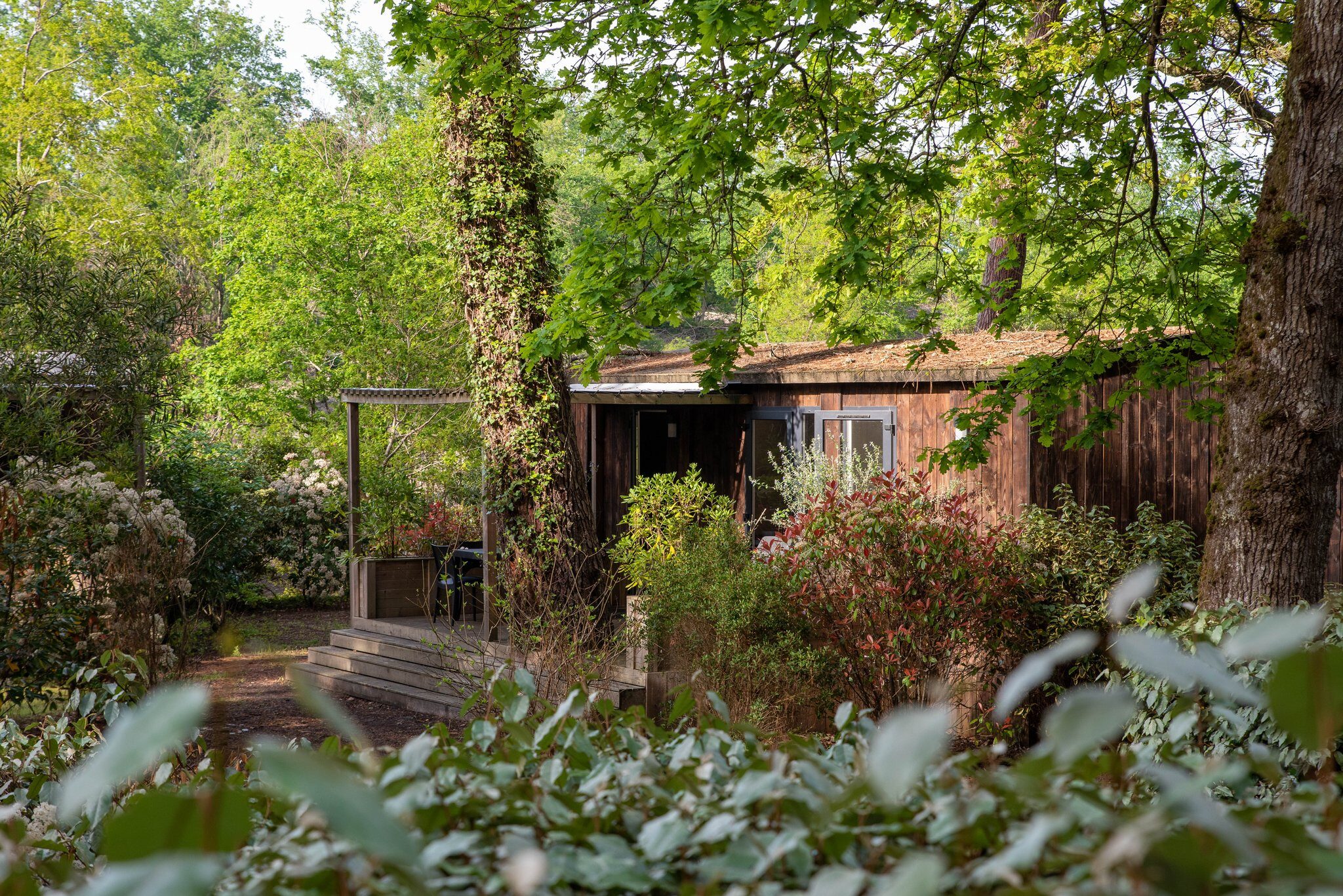 Cottage Premium 2ch. - Langzaam dorp