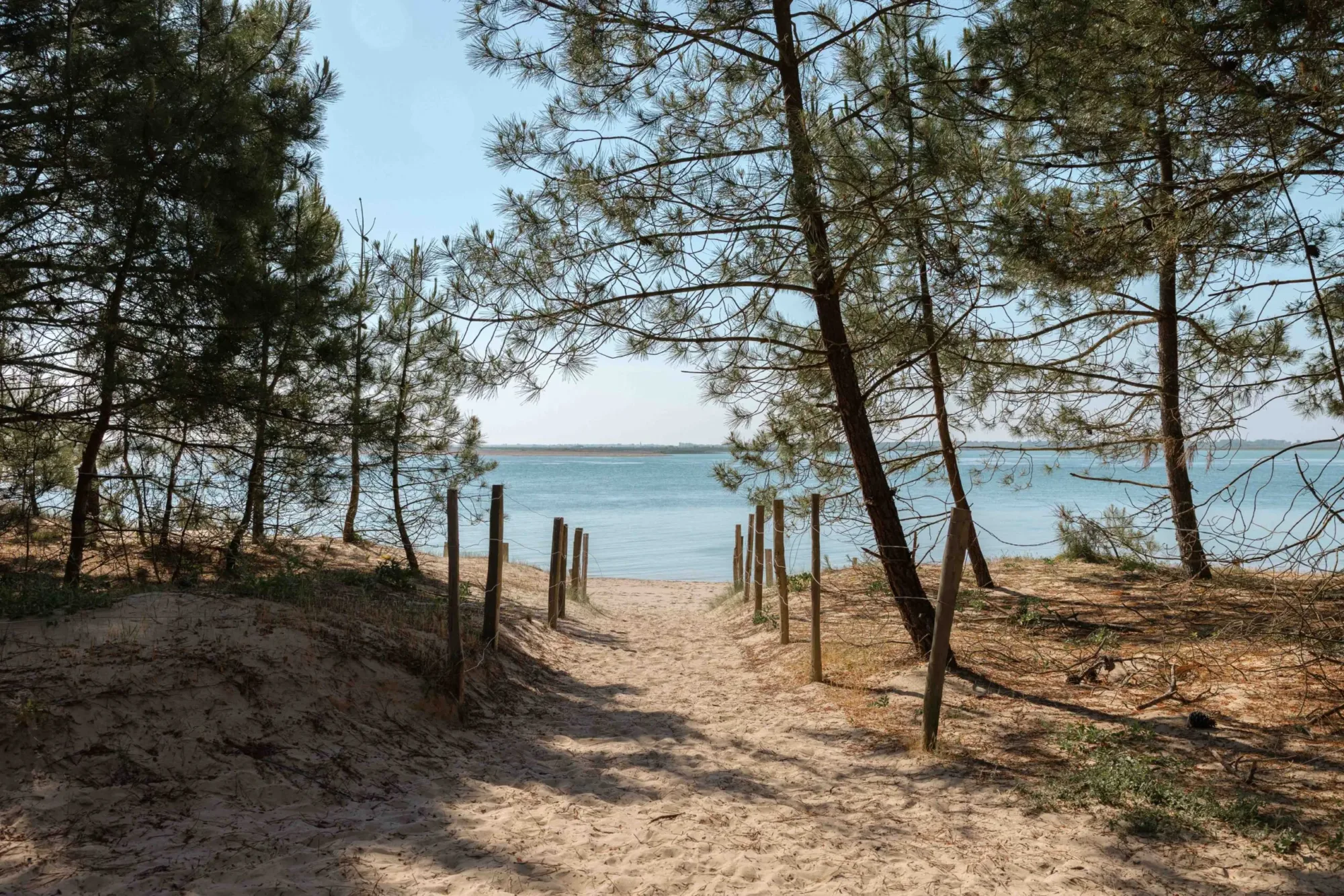 Camping Île de Ré: Buchen Sie Ihren Urlaub im Herzen der Charente-Maritime